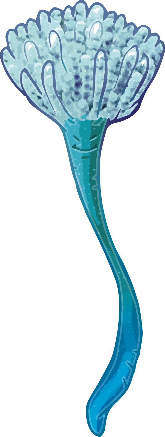 Aspergillus fumigatus – MyKrobs